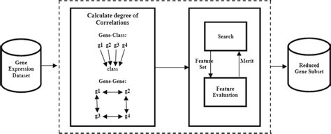 correlation based feature selection cfs download scientific diagram
