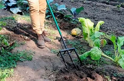 10 Herramientas imprescindibles para un Huerto Ecológico Agroforja