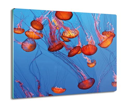 Deska Splashback Z Foto Meduzy Woda Ocean 60x52 ArtprintCave
