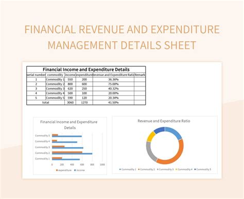 Financial Revenue And Expenditure Management Details Sheet Excel