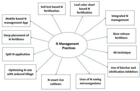 Frontiers Environment Friendly Nitrogen Management Practices In