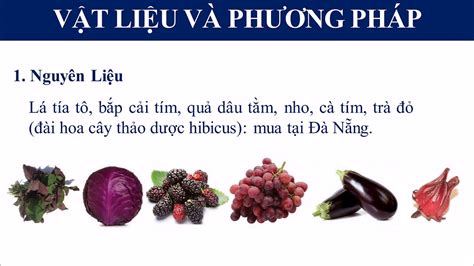 XÁC ĐỊNH HÀM LƯỢNG ANTHOCYANIN TRONG MỘT SỐ LOẠI RAU QUẢ BẰNG PHƯƠNG