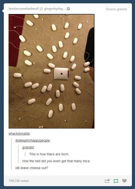Hilarious Tumblr Moments That Tumblr Was Absolutely Perfect