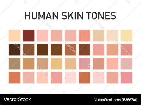 Human Skin Tone Color Palette Set Isolated Vector Image