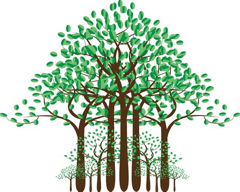 The Big Tree With Green Leaves Look Beautiful And Refreshing Tree And