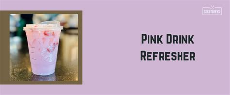Best Starbucks Drinks S Hot Cold Sensations