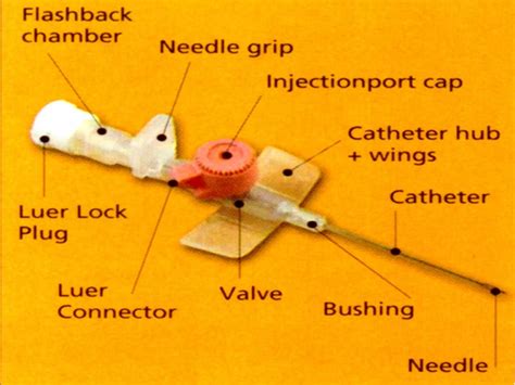 Intravenous Cannulation Ppt