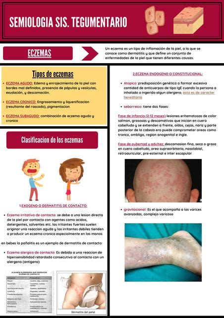 Semiología Sistema Tegumentario Carolina Velásquez uDocz