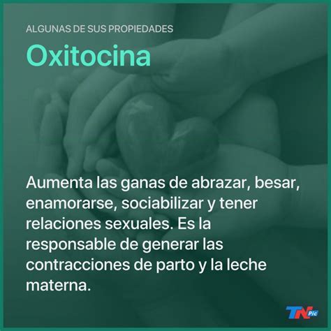 Oxitocina En El Parto El Papel Crucial De La Hormona Del Amor