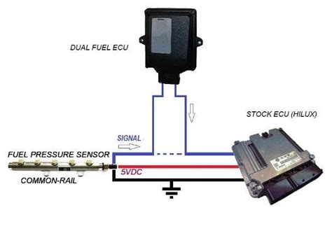Car Cng Kit Wiring Diagram Cng Front Sequential Kit A Wide Variety
