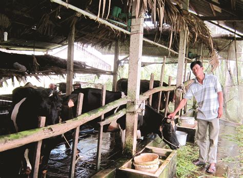 Tổng hợp hơn 83 về mô hình trang trại bò sữa coedo vn