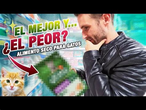 Descubre Los Mejores Piensos Para Gatos Esterilizados Garant A De Una