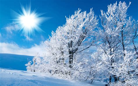 Calendar Frame For Photoshop With Birds Cold Frost And Sunshine