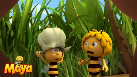 All Bees Must Fly Maya The Bee Youtube