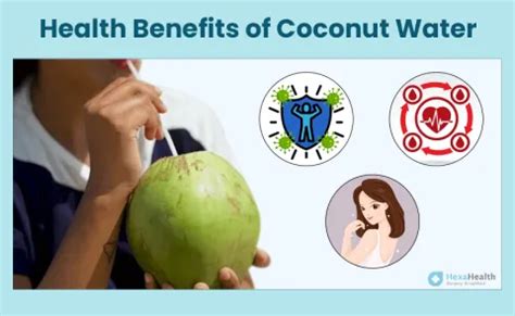 Nature S Secret 10 Incredible Health Benefits Of Coconut Water