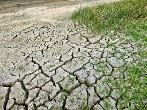 De Junio D A Mundial De La Lucha Contra La Desertificaci N Y La Sequ A