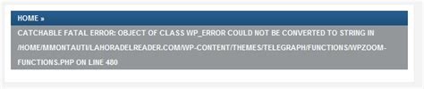 CATCHABLE FATAL ERROR OBJECT OF CLASS WP ERROR COULD NOT BE CONVERTED
