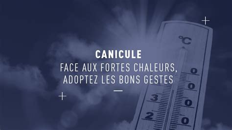 CANICULE Face Aux Fortes Chaleurs Adoptez Les Bons Gestes YouTube