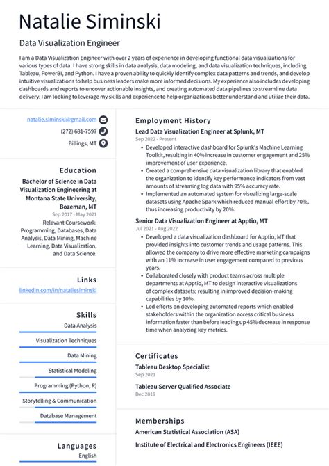 Amazon Data Visualization Engineer Resume Examples