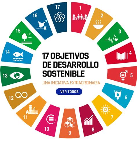Objetivo De Desarrollo Sostenible 4