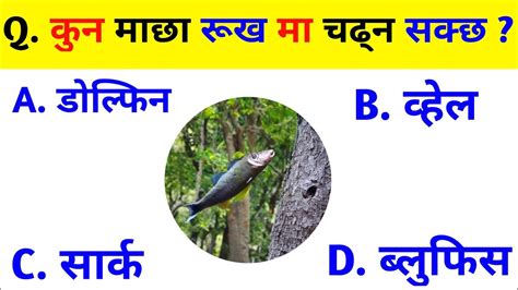 gk questions and answers कन मछ रख म चढन सकछ gk question