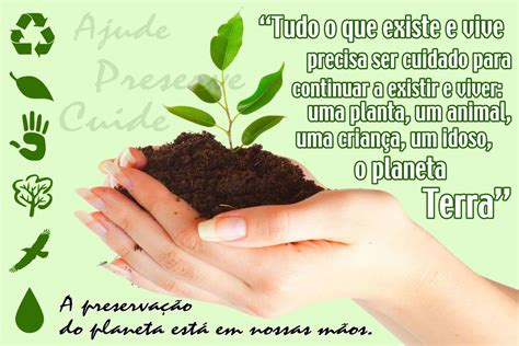 A Importância Da Preservação Ambiental FDPLEARN