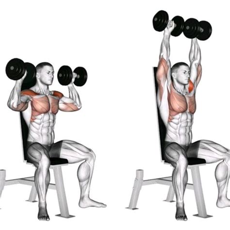 Seated Dumbbell Press