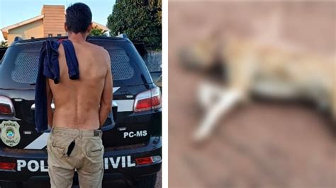 Me Irritava Diz Homem Suspeito De Atirar E Matar Cachorro Em MS