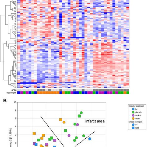 Gene Expression Patterns Weeks After Ischemia Reperfusion Injury