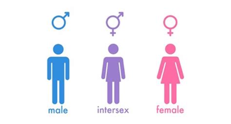 Lo que debes de conocer de Sexualidad Sexo genero y orientación sexual