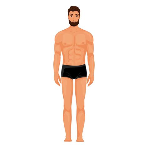 Man Nude Body Full Height Vector Art At Vecteezy