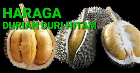 NEW Harga Buah Durian Duri Hitam Per Kg Paling Enak Di Dunia Terbaru