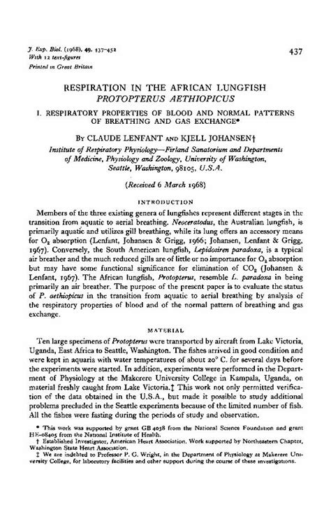 PDF RESPIRATION IN THE AFRICAN LUNGFISH Respiration In Lungfish