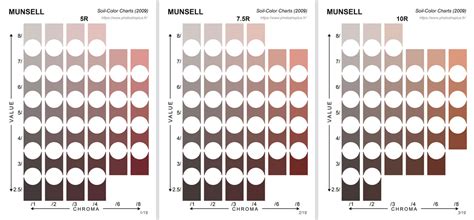 Qué es la Tabla Munsell InfoAgronomo