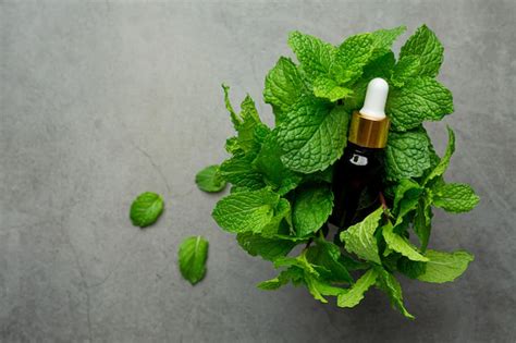 Óleo essencial peppermint benefícios indicações e como usar