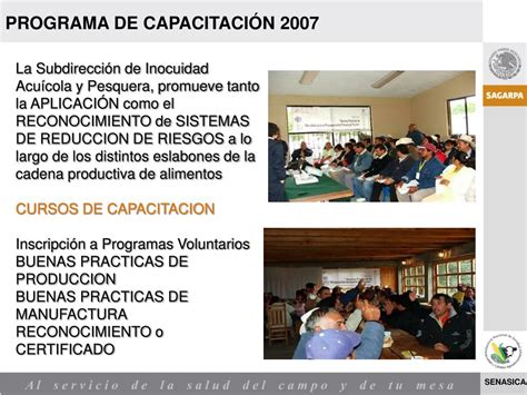 Ppt Programas De Reducci N De Riesgos En Productos Pesqueros Y