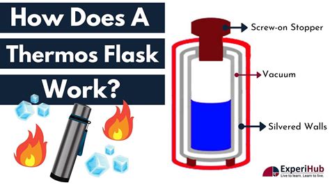 HOTS Questions Heat How Does A Thermos Flask Work YouTube