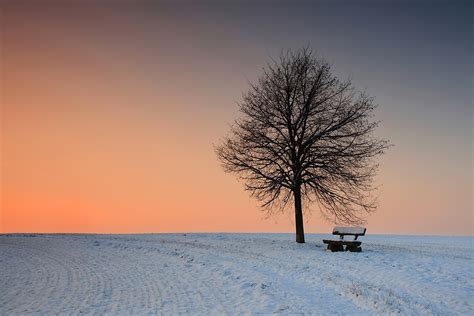 Wallpaper Sunlight Landscape Sunset Nature Sky Snow Winter