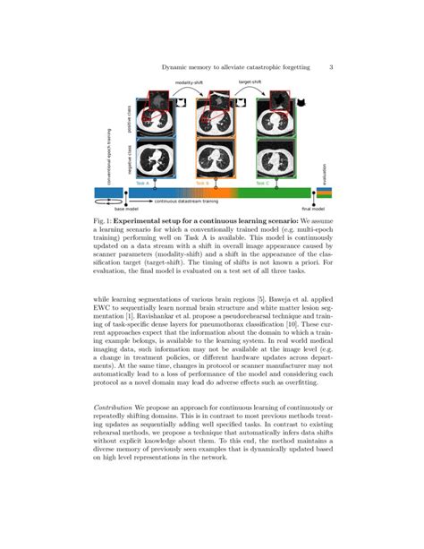 dynamic memory to alleviate catastrophic forgetting in continuous learning settings deepai