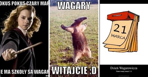 Memy Na Dzie Wagarowicza Rozbawi Was Do Ez Zobacz Najlepsze Memy