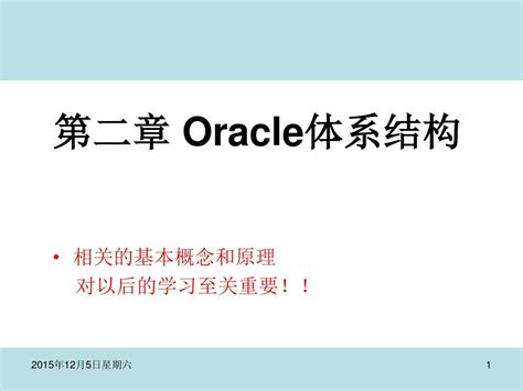 第2章 oracle体系结构 word文档在线阅读与下载 文档网