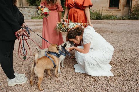 La Mujer Que Se Dedica Cuidar Perros En Las Bodas Y Gana Miles De Dólares Infobae