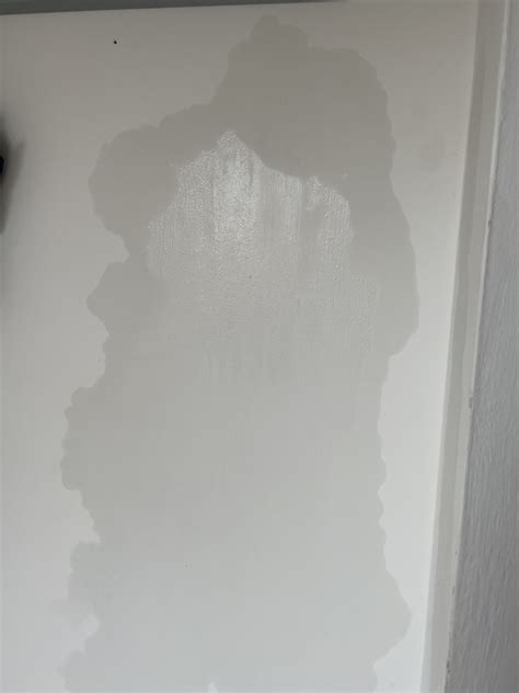 Painting Damp Walls DeBugged