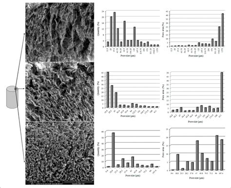Sem Image Of The Outer Part Of The Aerogels Prepared From The Nbc
