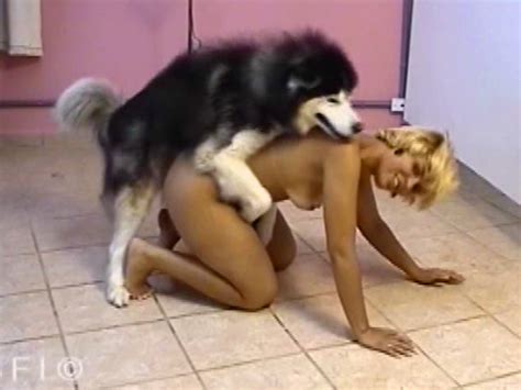 Elle Se Fait Mettre Par Son Chien Telegraph