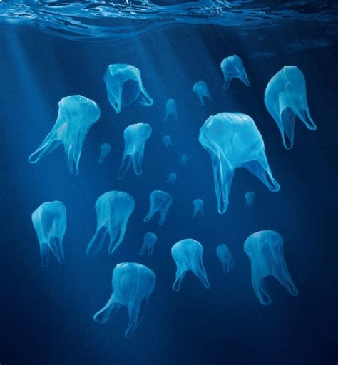 Tonnes Of Plastic Waste In World Oceans Technocrazed
