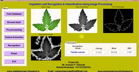 vegetable leaf recognition using image processing matlab source code ~ engineering projects