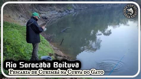 PESCANDO CURIMBA NO FRIO EXTREMO SÓ CURIMBA BRUTA Rio Sorocaba em