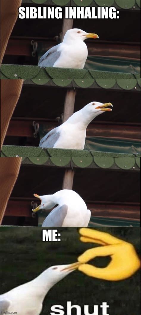Inhaling Seagull Meme Imgflip