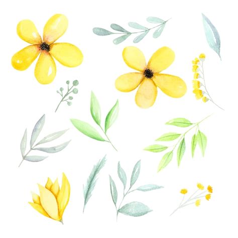 Ilustración de acuarela con flores amarillas y hojas verdes Vector